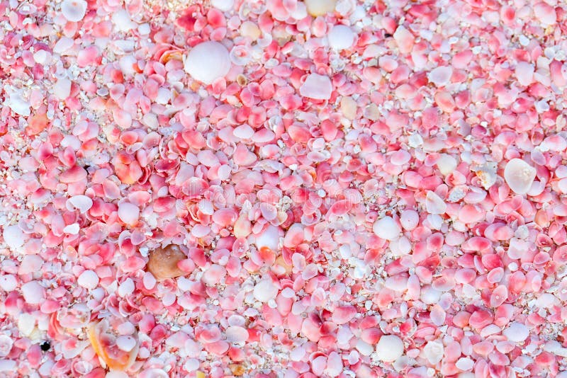 Różowy Piasek I Turkusowa Nieskazitelna Wody Jeden Balos Plaża W Crete ...