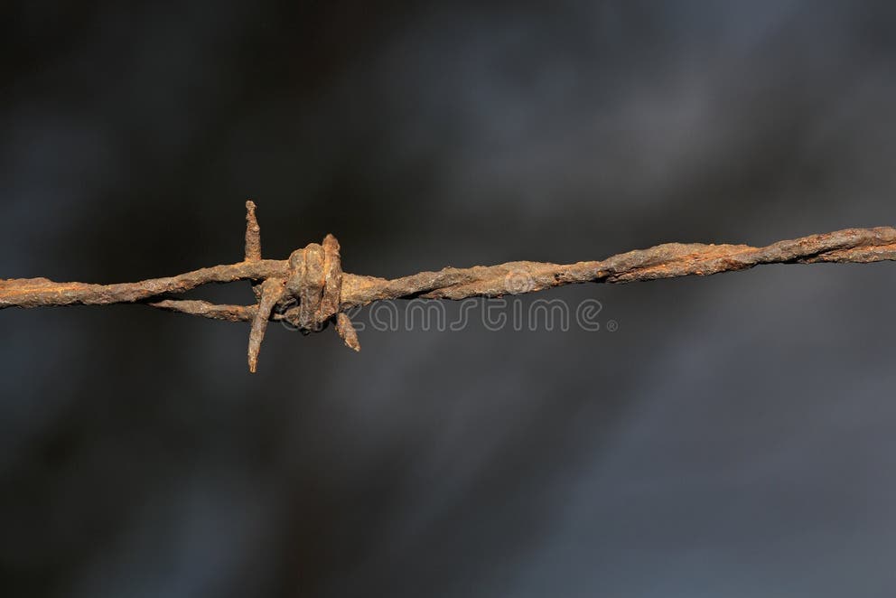 Barbwire stock image. Image of spiky, rust, closeup, obstacle - 24613845