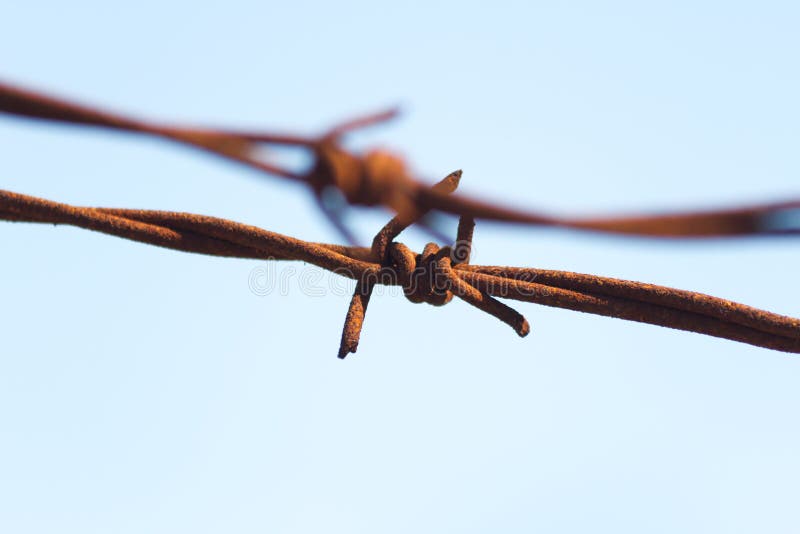 Inextricable Photos Stock - Téléchargez 2,599 Photos libres de droits