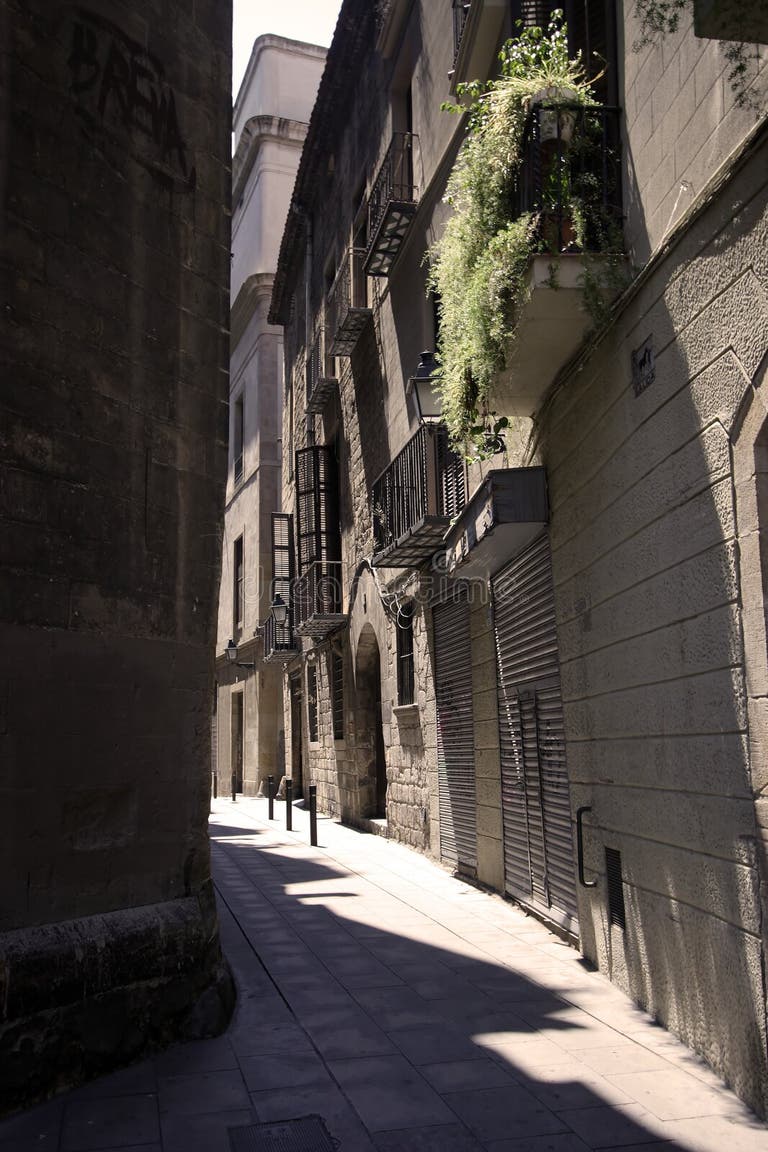 9,660 Ally Anzi Stock Photos - Free & Royalty-Free Stock Photos from ...