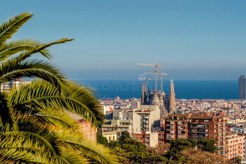 Barcelona Cityscape Overlook Stock Image - Image of city, palm: 90620153
