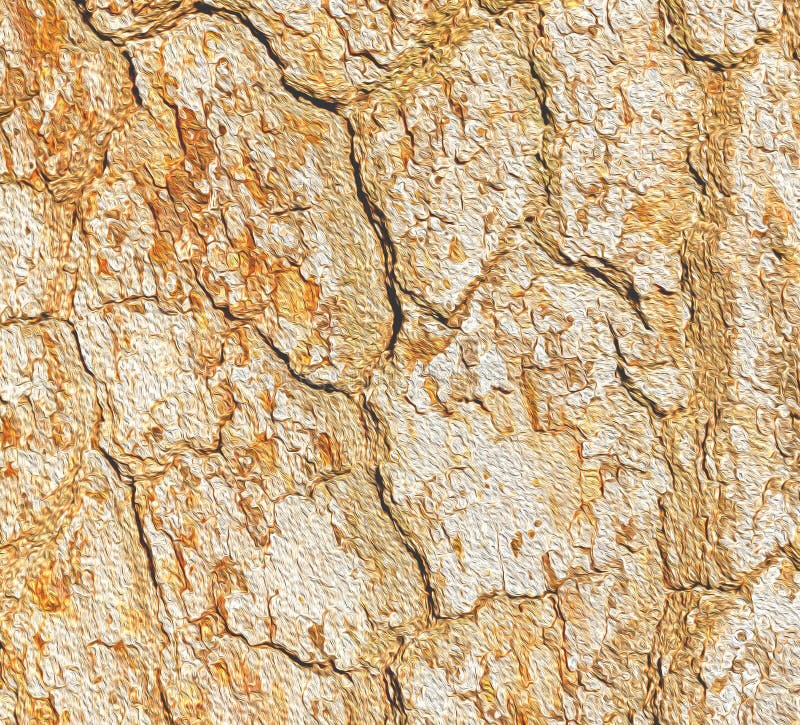 Barck in the Abstract Close Up of a Tree Color and Texture Stock Photo ...