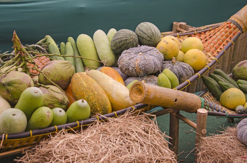 Barco De Bambu Com Frutos Tropicais E Palha Foto de Stock - Imagem de ...
