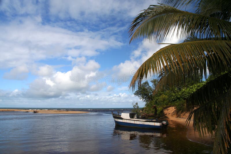 Barco no delta do rio foto de stock. Imagem de norte - 23101446