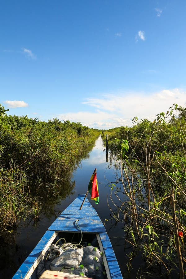 Barco Que Cruza As Amazonas Imagem de Stock - Imagem de americano ...