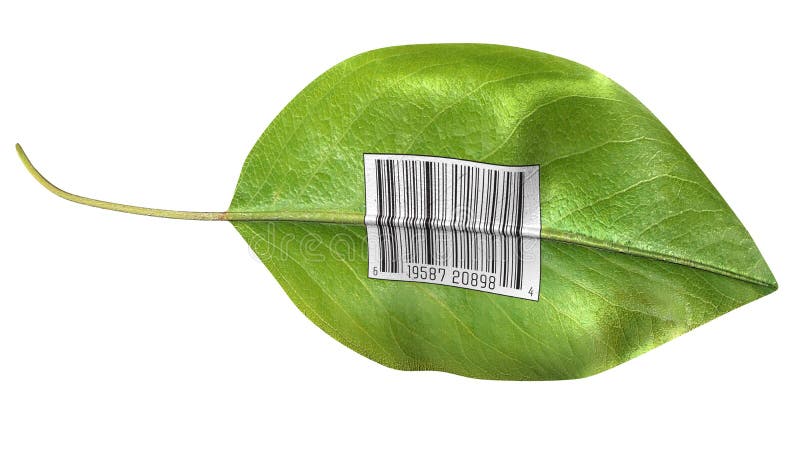 Barcode label stock image. Image of package, glue, isolated - 8342733