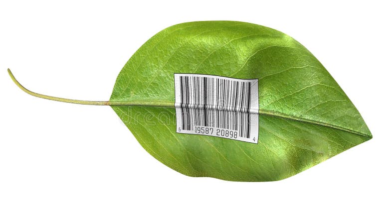 Leaf Stem Label Stock Illustrations – 9,521 Leaf Stem Label Stock ...