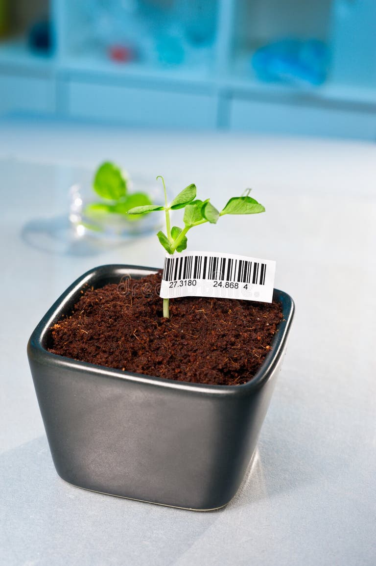 149 Barcode Lab Stock Photos - Free & Royalty-Free Stock Photos from ...