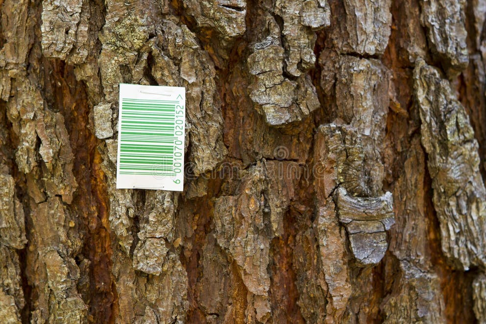 Barcode on a tree stock image. Image of recycling, barcode - 50644895