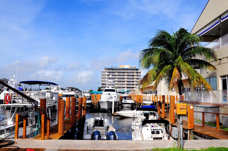 Barcos no porto em Florida foto de stock. Imagem de lifestyle - 64622714
