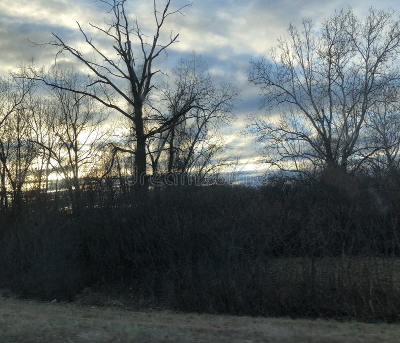 Bare Autumn Trees in Front of Gorgeous Late Afternoon Sky Stock Image ...