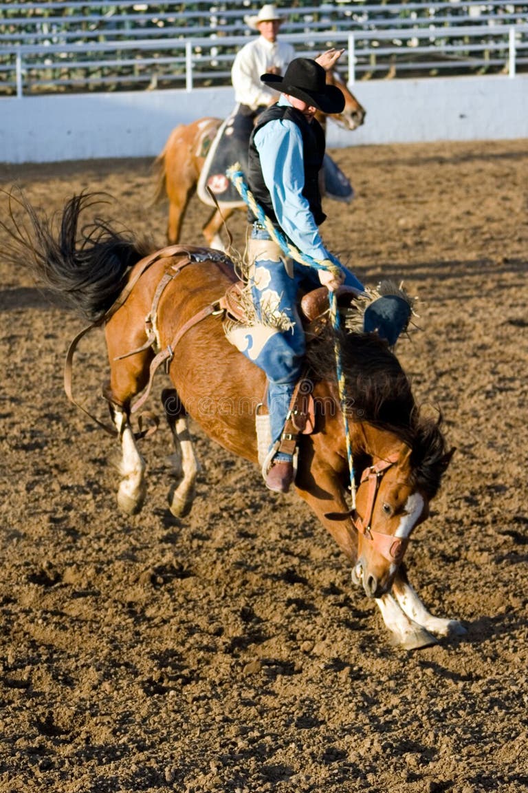 11,106 Bare Back Stodeo Stock Photos - Free & Royalty-Free Stock Photos ...