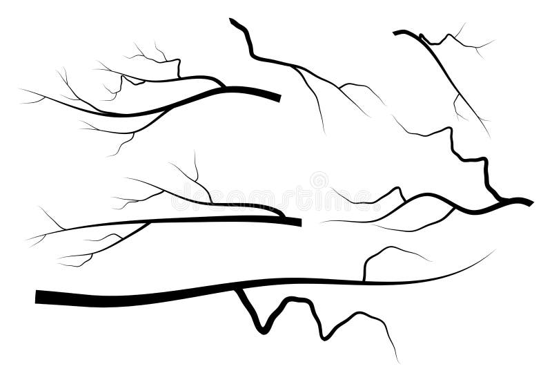 Branch Silhouette Icon Set, Symbol, Design. Vector Illustration ...