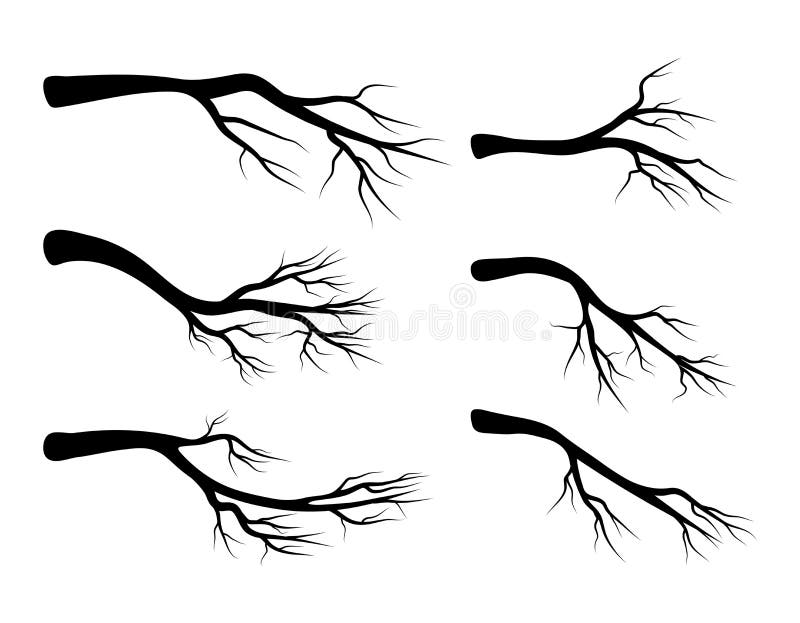 Branch Silhouette Icon Set, Symbol, Design. Vector Illustration ...