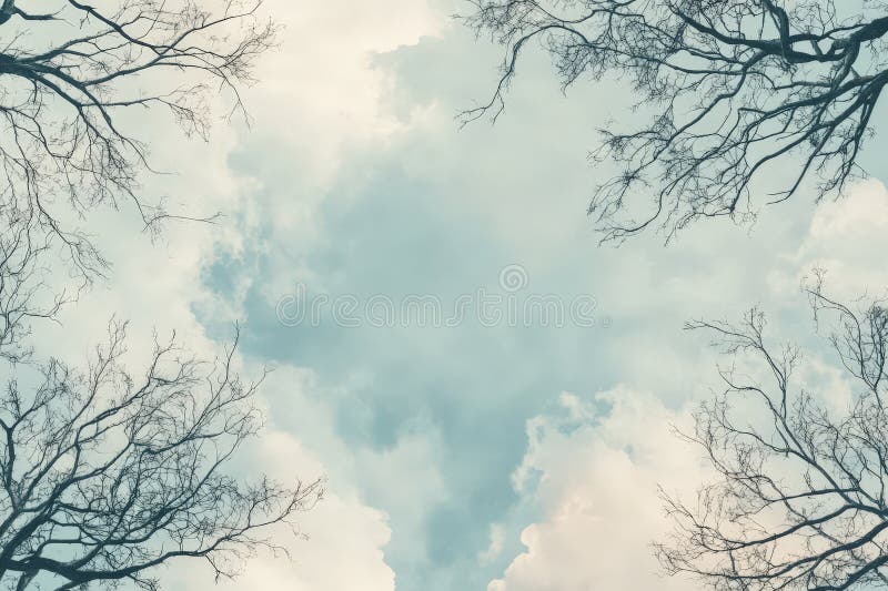 Bare Branches Frame Cloudy Sky Scene Stock Image - Image of outdoor ...