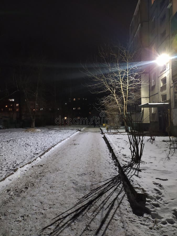 Bare Branches of a Tree in City Street at Night. Stock Image - Image of ...