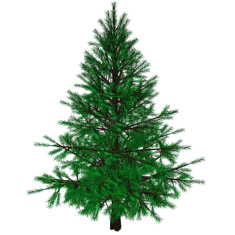 Undecorated Christmas Tree Stock Illustrations – 713 Undecorated ...