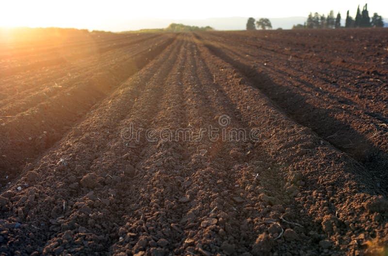 Bare Field with No Plants Ready for Seeding Stock Image - Image of dark ...