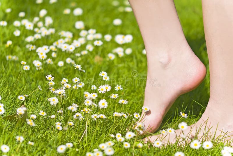 Feet on Grass. Family Picnic in Spring Park Stock Photo - Image of ...