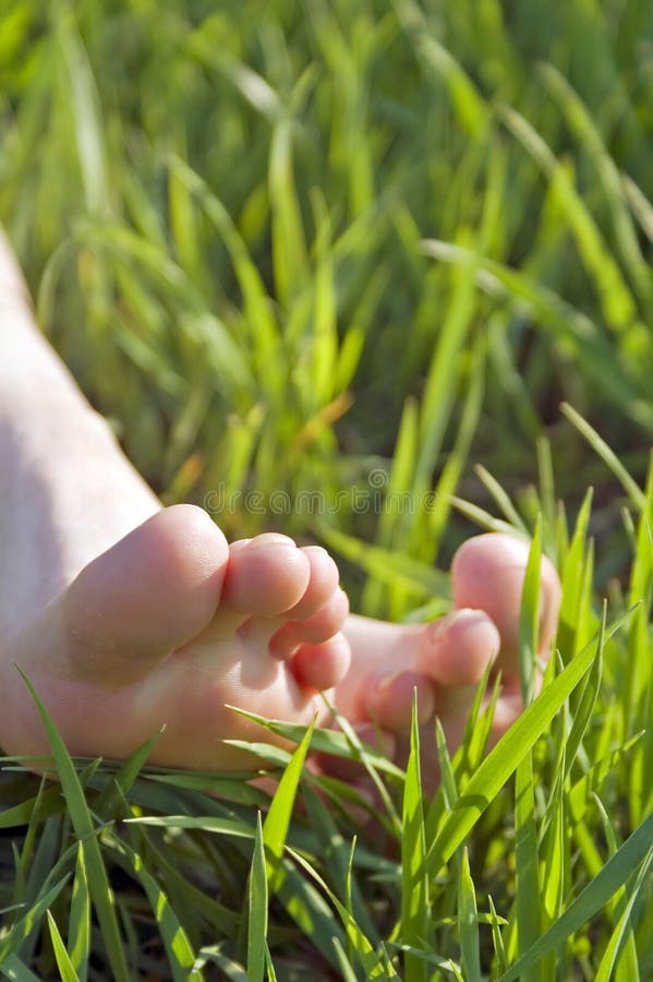 Bare feet in the grass stock photo. Image of bare, back - 2312320