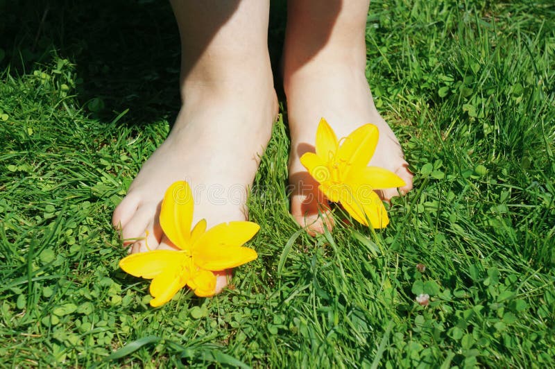 Bare Feet in Green Grass with Yellow Flowers Stock Photo - Image of ...