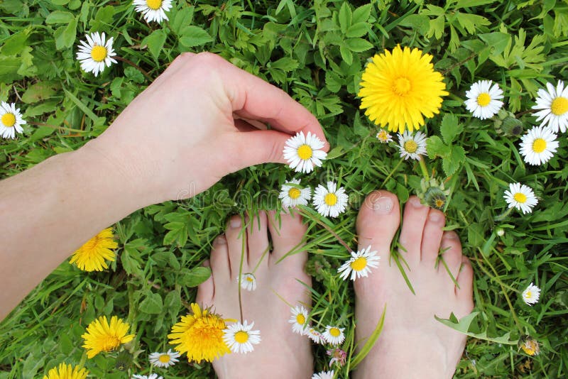 Bare Feet and Hand on Spring Grass, Flowers Stock Photo - Image of hand ...