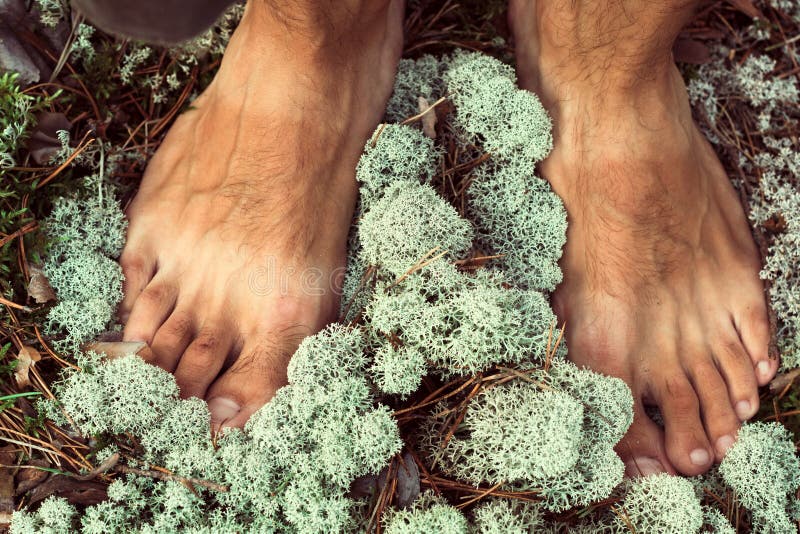 Bare feet on moss stock image. Image of beauty, feet - 125664755