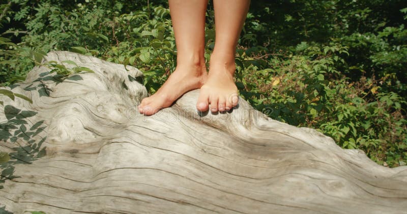 Bare Feet Standing on Weathered Tree Trunk Surrounded by Green Plants ...