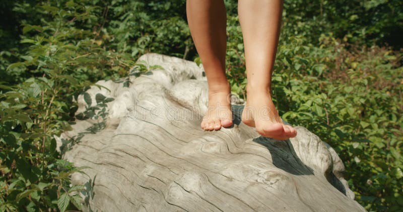 Bare Feet Walking on Curved Surface of Old Tree Trunk in Lush Green ...