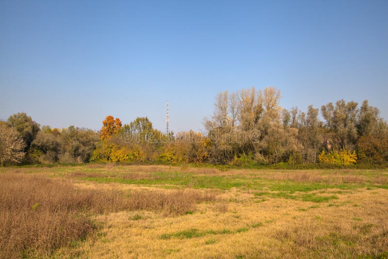 Bare Field in Autumn Bordered by Trees in the Distance Stock Photo ...