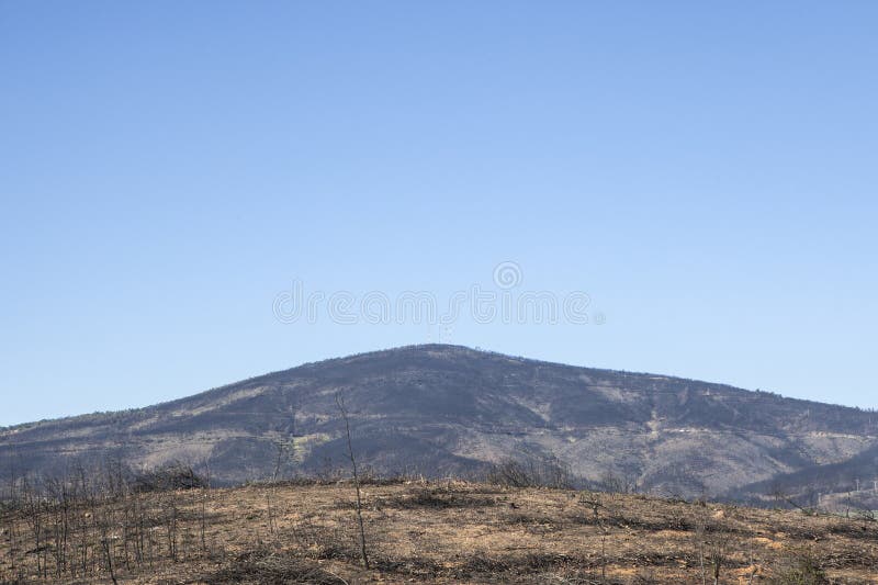 Bare and Fire-scorched Hills by Fire Stock Image - Image of woodland ...