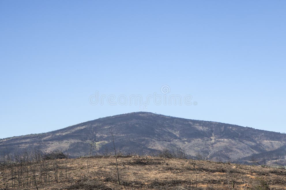 Bare and Fire-scorched Hills by Fire Stock Image - Image of woodland ...