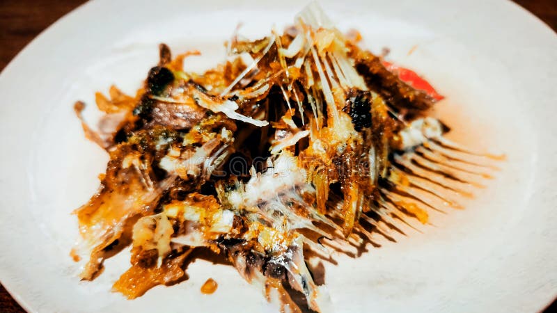 181 Fish Bones Waste Stock Photos - Free & Royalty-Free Stock Photos ...