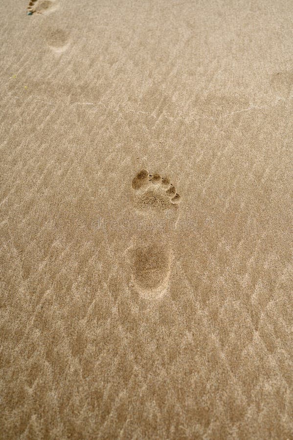 Footprints in wet sand. stock image. Image of tropical - 393765995