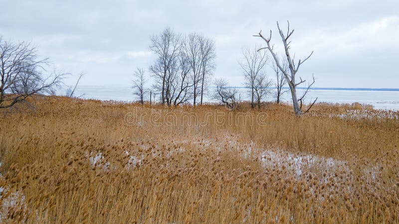 Bare Island and a Desolate Winter Landscape Stock Image - Image of scenic, desolate: 241295241