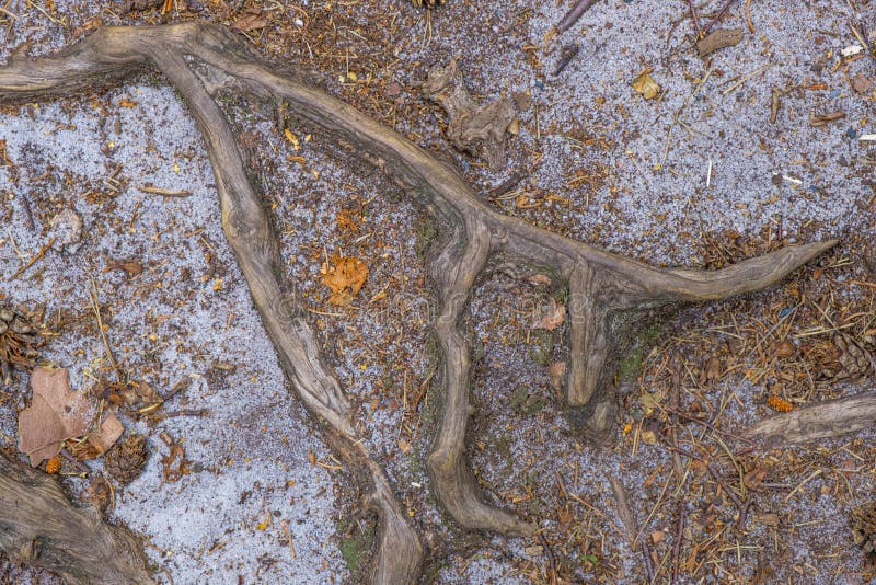 Twisting ground anchor stock photo. Image of ingrained - 108278726