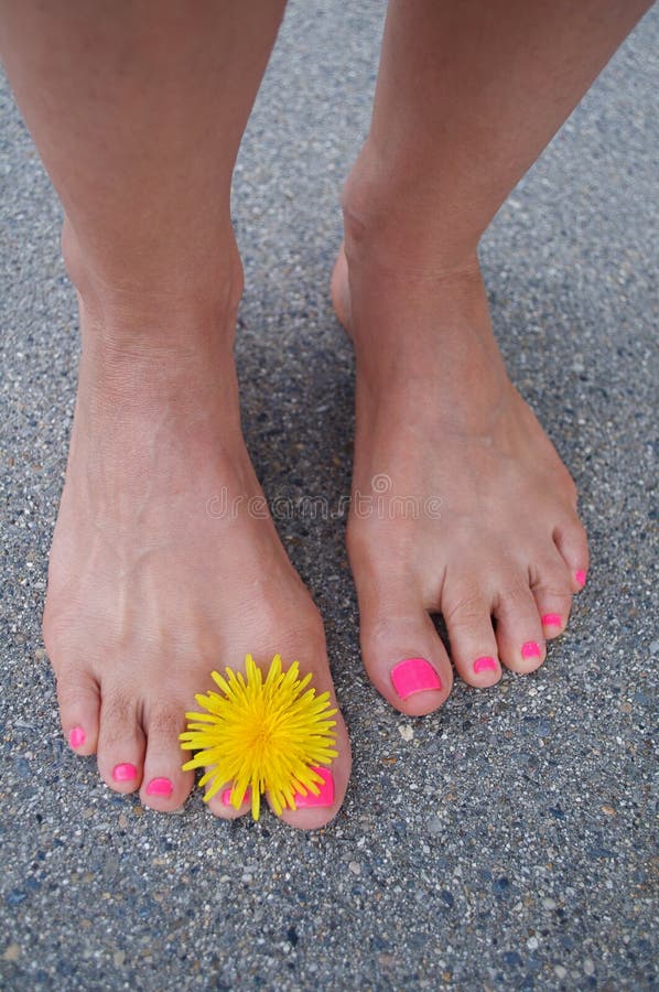 Bare summer feet stock image. Image of female, path, pink - 9185469