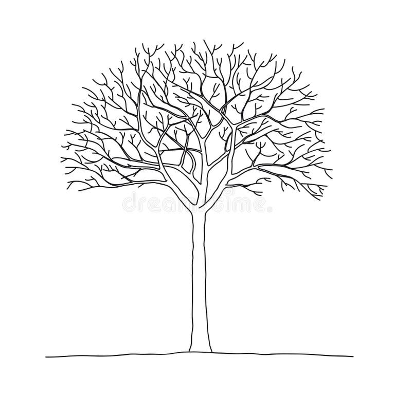 Bare Tree Drawing Stock Illustrations – 16,471 Bare Tree Drawing Stock ...