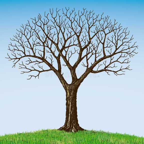 Bare Tree Drawing Stock Illustrations – 4,676 Bare Tree Drawing Stock ...