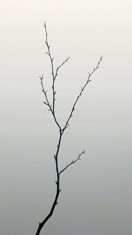 Bare Tree Branch Against Light Gray Background Stock Illustration ...
