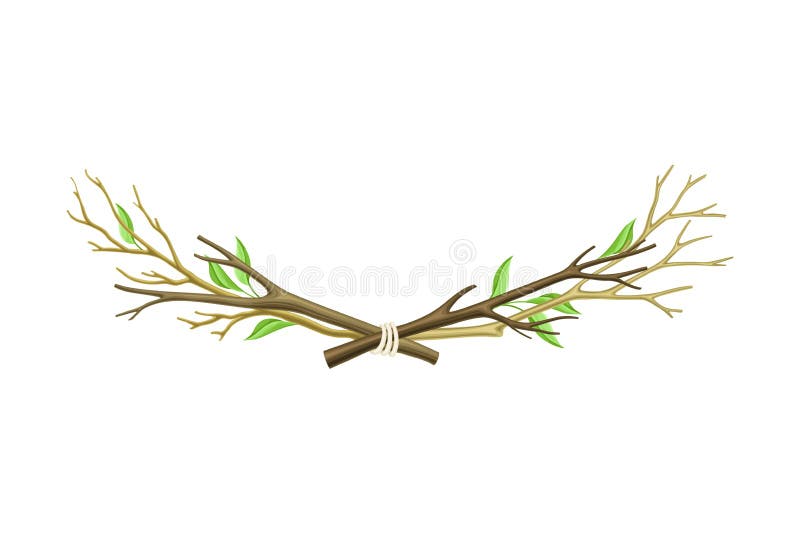 Bare Tree Branch Tied in Semi Circle Vector Illustration Stock Vector ...