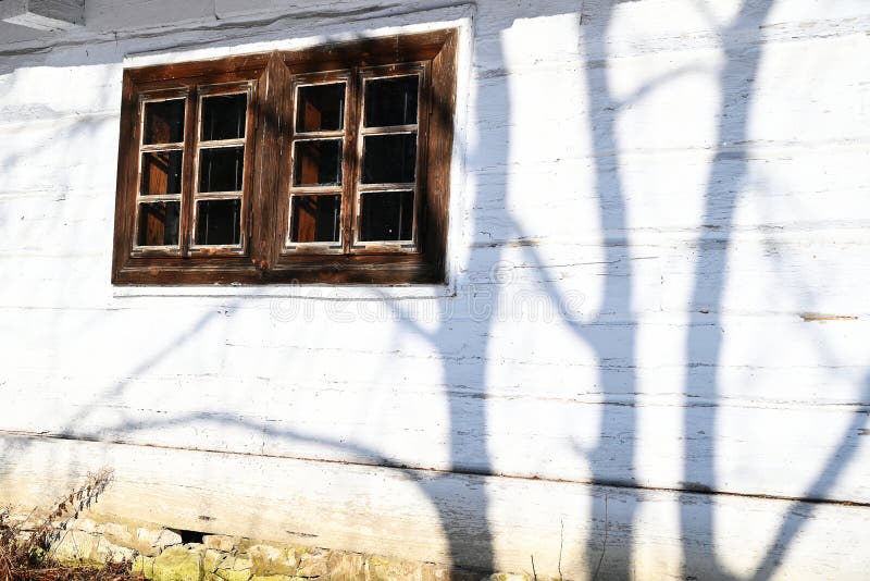 Bare Tree Branches Cast Shadow on White Wooden Wall and Window of Old ...