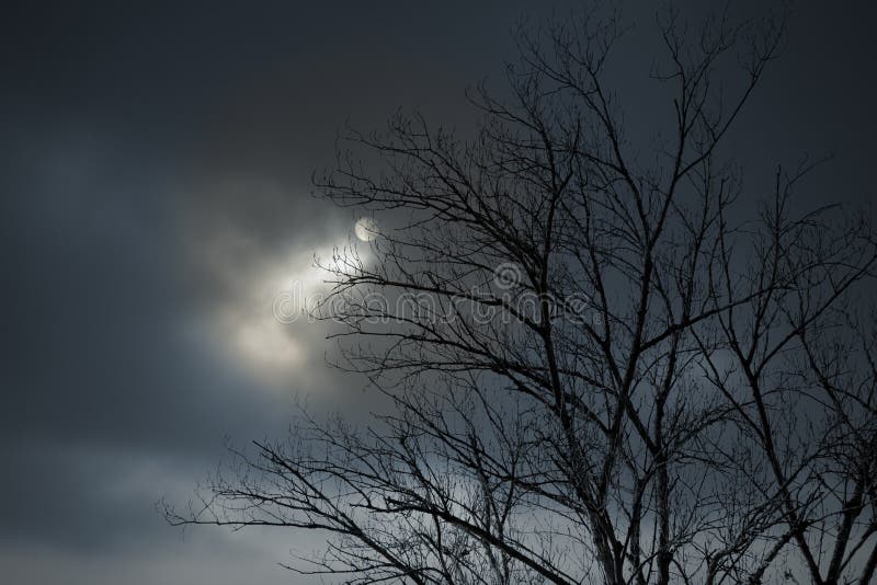 Bare Tree in a Cloudy Full Moon Night Stock Photo - Image of bright ...