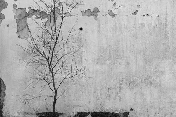 Bare Tree Branches Old Weathered Wall Background Black and White Stock ...