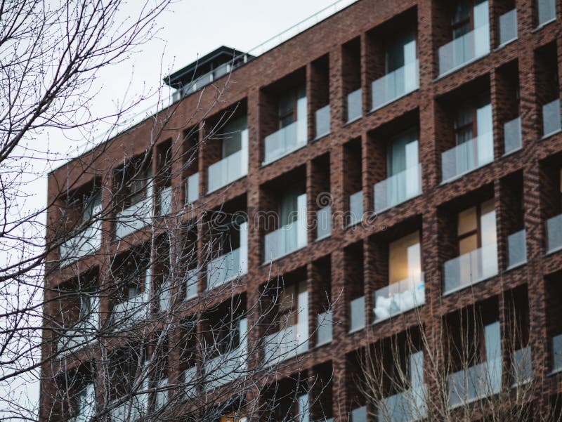 Bare Tree Branches in Winter Against the Background of the Facade of a ...