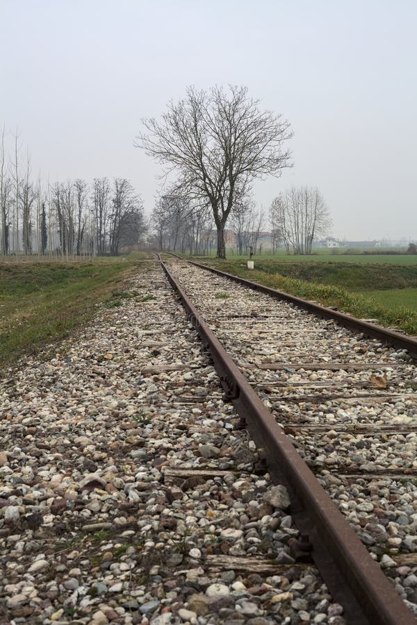 Bare Tree by the Edge of an Abandoned Railroad Track between Fields on ...