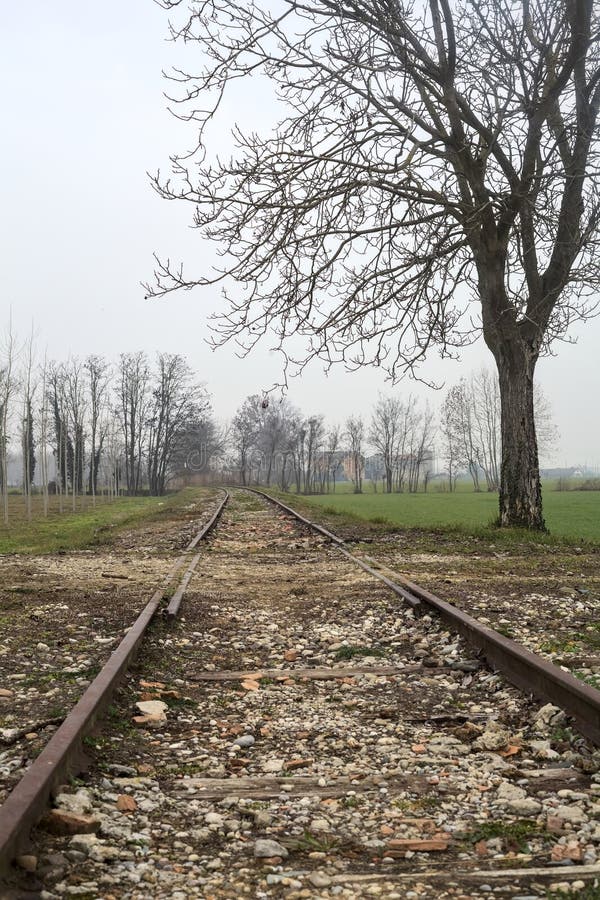 Bare Tree by the Edge of an Abandoned Railroad Track between Fields on ...