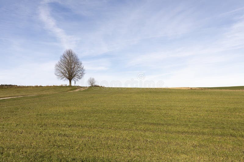 Bare Tree in a Field in the Fall, Germany Stock Image - Image of ...