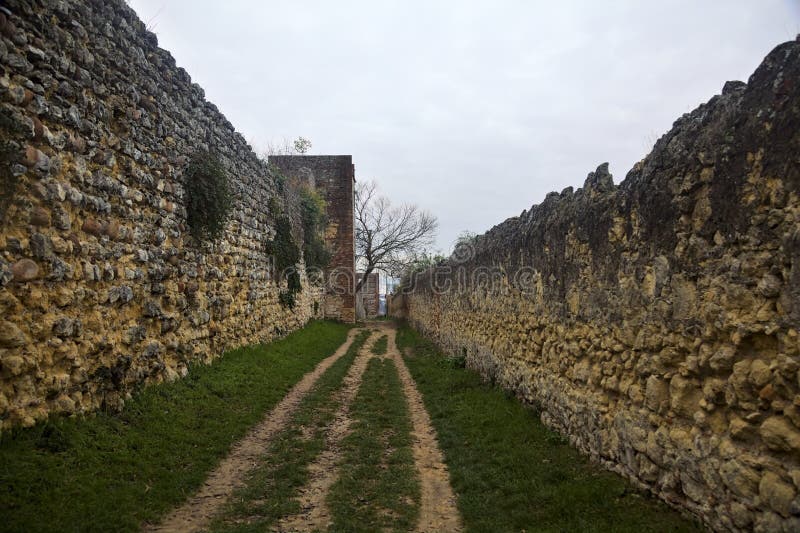 127 Tree Crooked Pathway Stock Photos - Free & Royalty-Free Stock ...