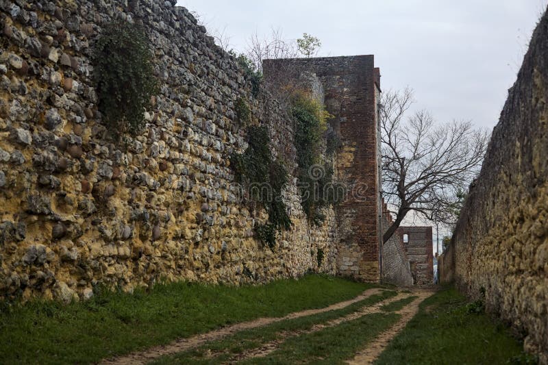 127 Tree Crooked Pathway Stock Photos - Free & Royalty-Free Stock ...